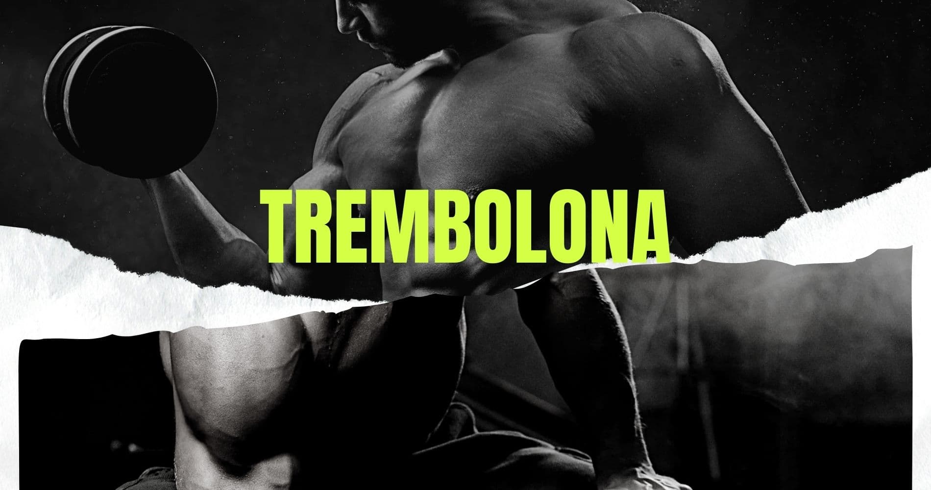 Para que serve Trembolona? Anabolizante Hipertrofia Muscular